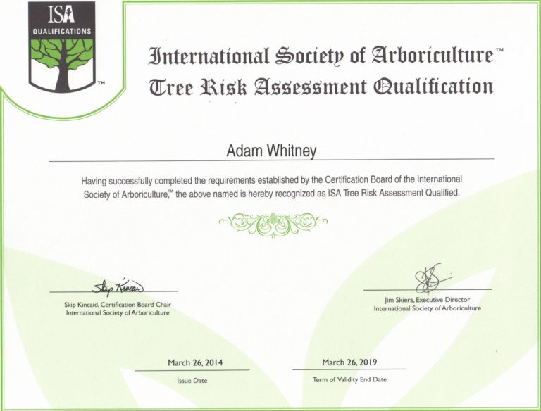 Tree Risk Assessment Qualified! – Whitney Tree Service