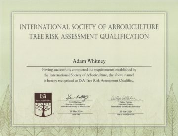 Tree Risk Assessment Qualification (TRAQ) – Whitney Tree Service