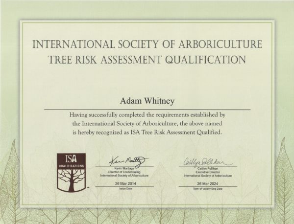 Tree Risk Assessment Qualification (TRAQ) – Whitney Tree Service